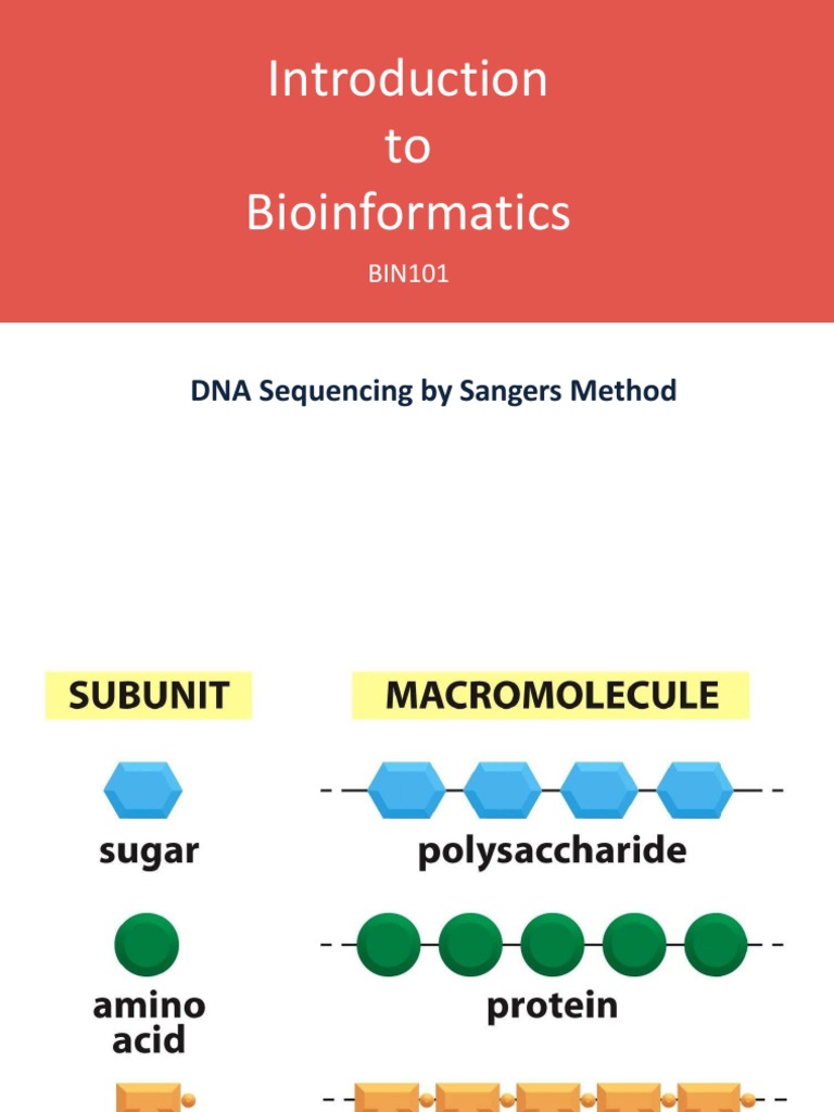 Sanger Method for DNA Sequencing | PDF | Sequencing | Gel Electrophoresis