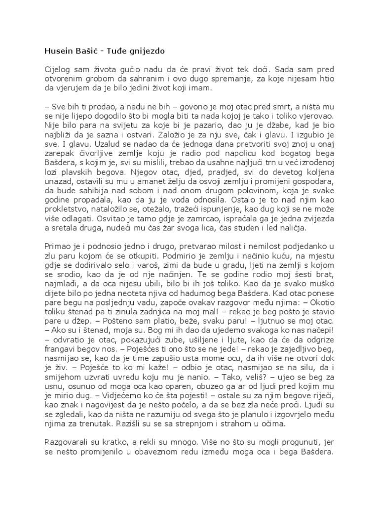 Husein Bašić | PDF