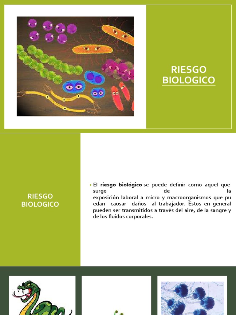 Riesgos Biológicos en el Trabajo | PDF | Virus | Microorganismo