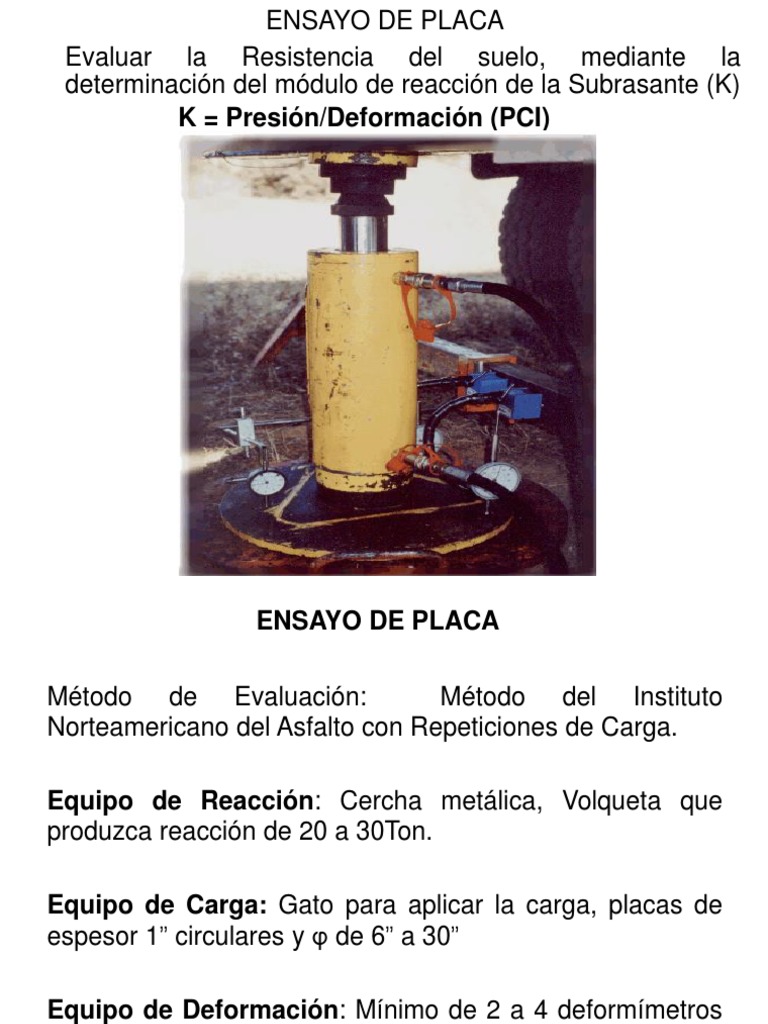 Ensayo de Placa | PDF