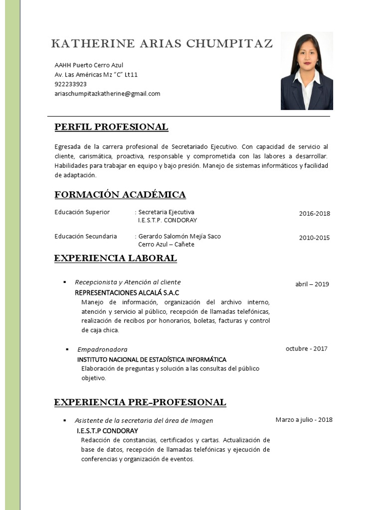Curriculum Vitae EJEMPLO | PDF | Educación avanzada | Business
