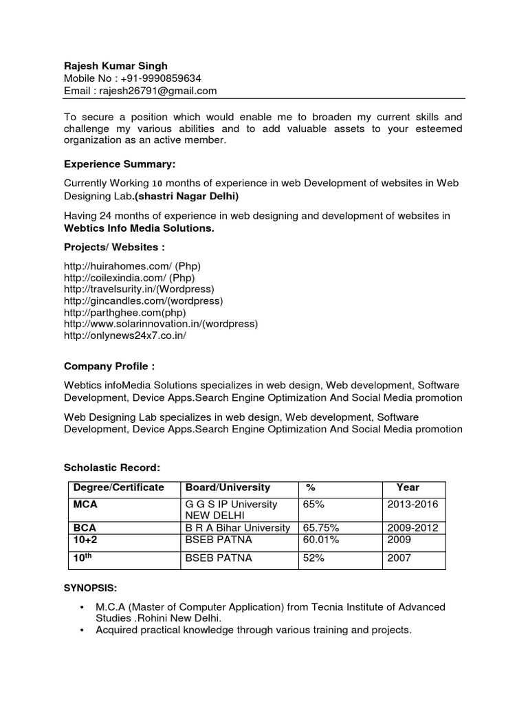 Web Developer Career Profile | PDF | Web Development | Word Press