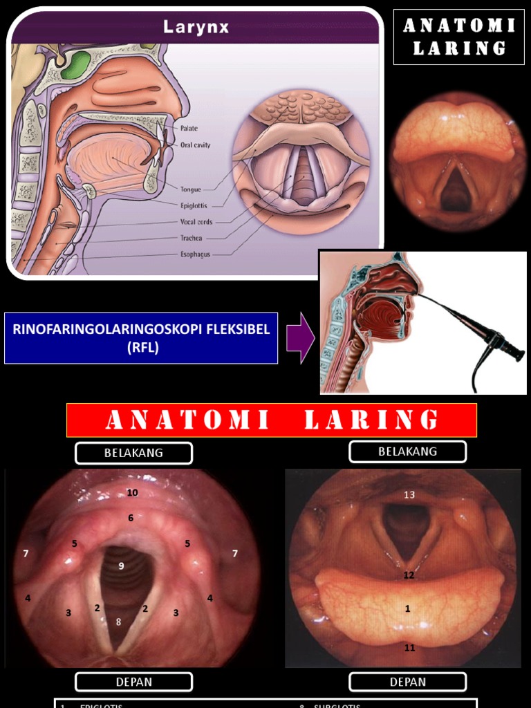 Anatomi dan Evaluasi Fungsi Laring | PDF