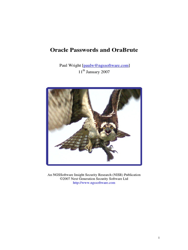 Oracle Passwords and Orabrute: Paul Wright 11 January 2007 | Download Free PDF | Password ...