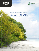 Numbers Dhivehi | PDF
