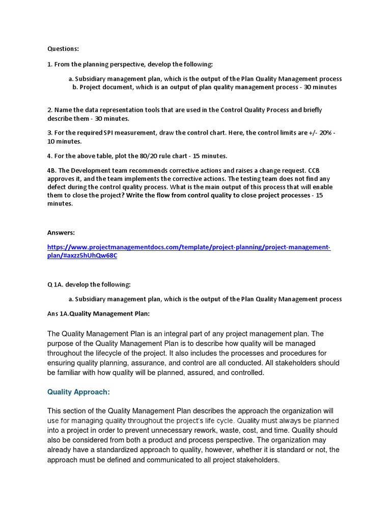 Software Project | PDF | Quality Management | Project Management