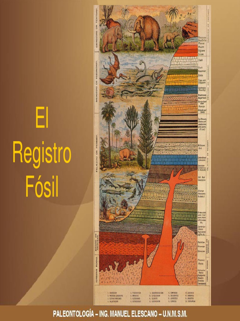 Registro Fosil | PDF | Fósil | Cretáceo