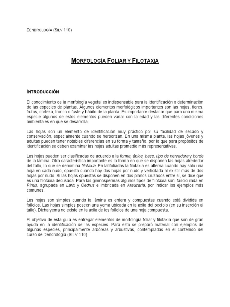 Morfologia Foliar y Filotaxia 2003 | PDF | Hoja | Tallo de la planta