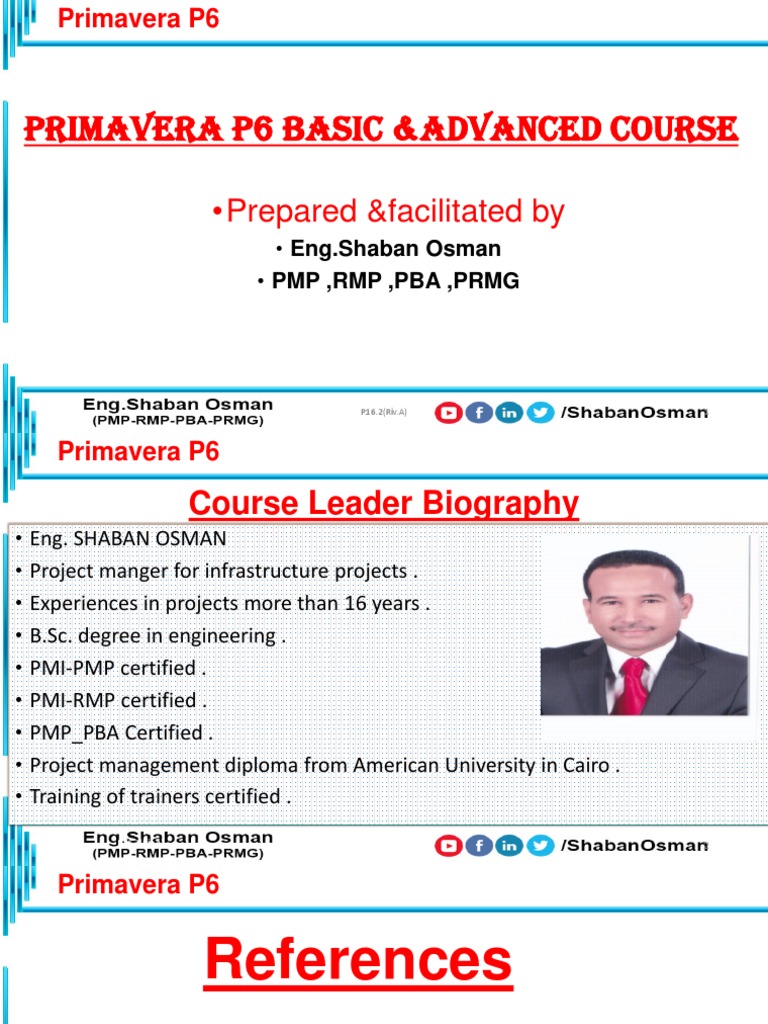 Primivera P6 | PDF | Project Management | Data Analysis