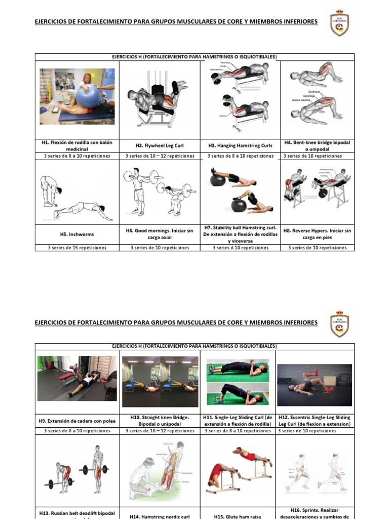 Ejercicios Excentricos de Isquiotibiales | PDF | Ciencia de la danza ...