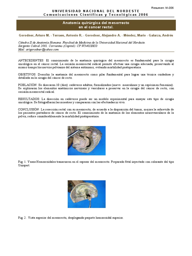 Anatomia de Mesorecto | PDF | Cáncer colonrectal | Cirugía