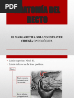 Anatomia de Mesorecto | PDF | Cáncer colonrectal | Cirugía