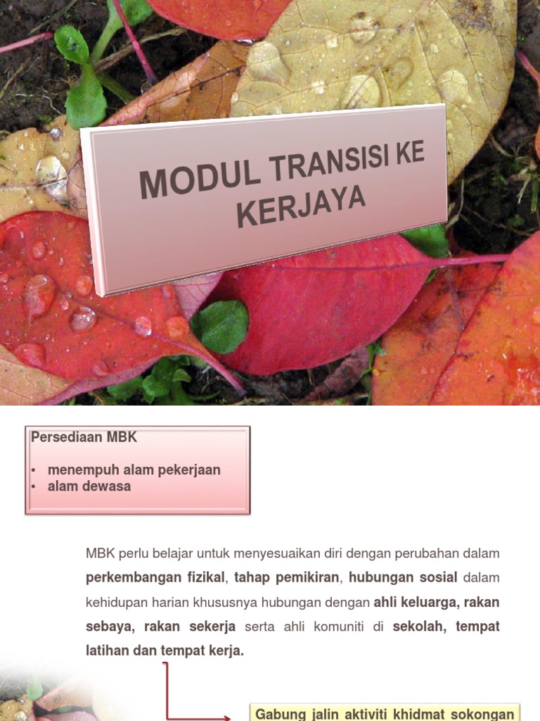 Modul Transisi Ke Kerjaya | PDF | Karier & Perkembangan