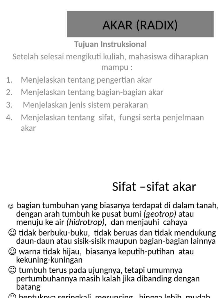 Akar (Radix) Gambar | PDF