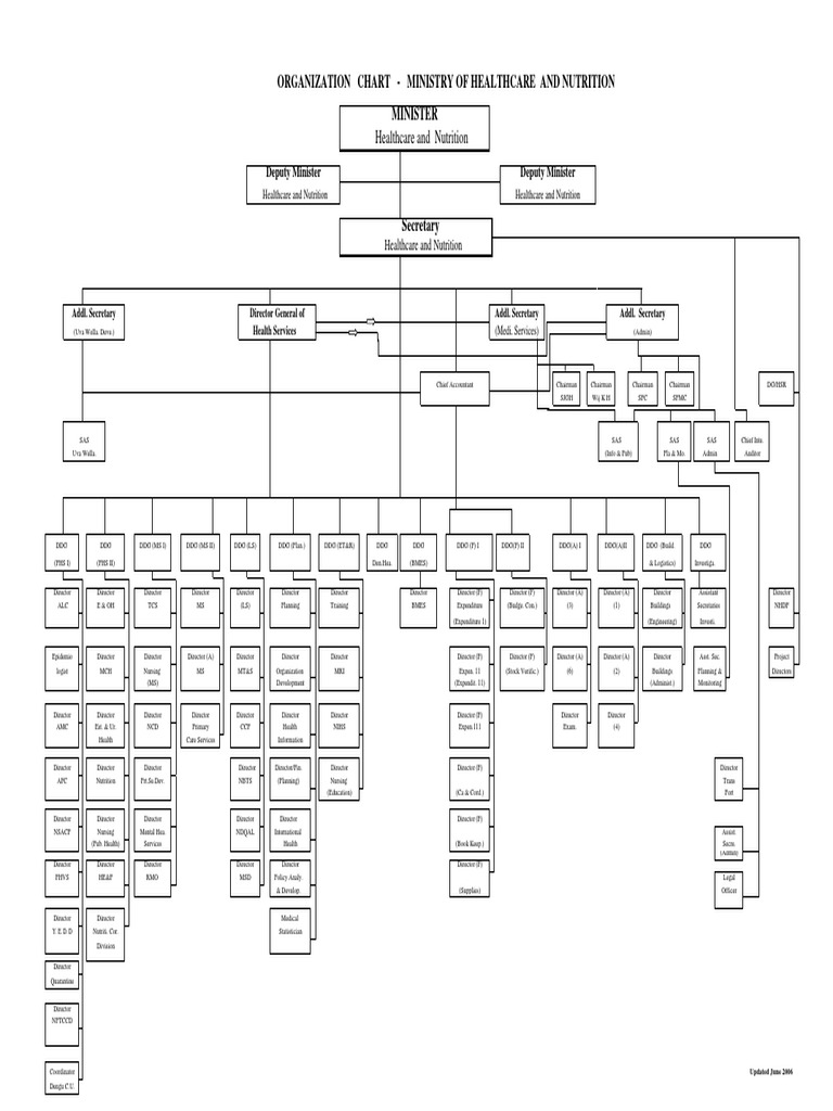 Organization Structure | PDF | Health Care | Health Sciences