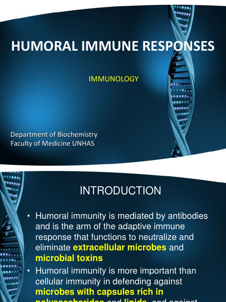 Humoral Immunity Overview and Mechanisms | PDF | B Cell | Antibody