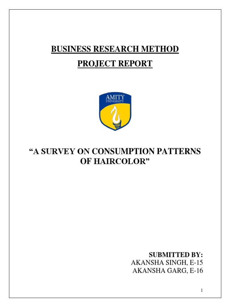 Business Research Method | PDF
