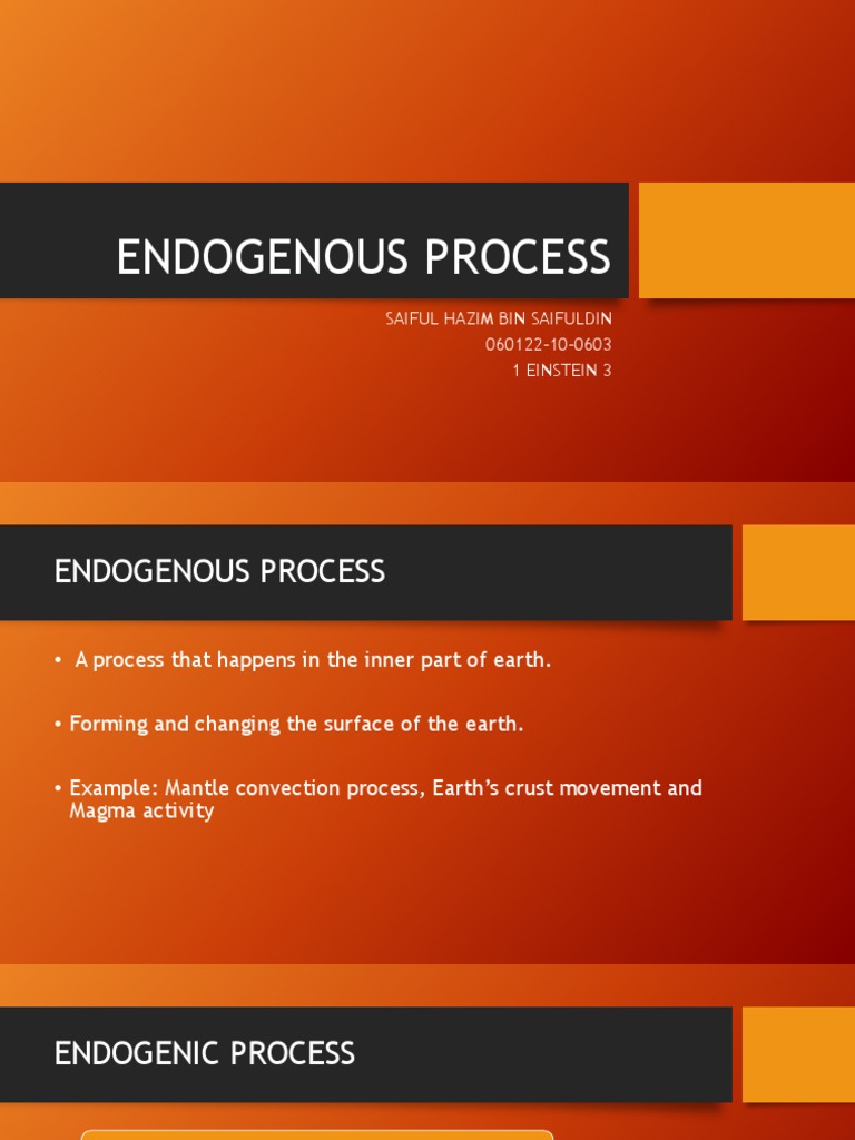 Endogenous Process | PDF