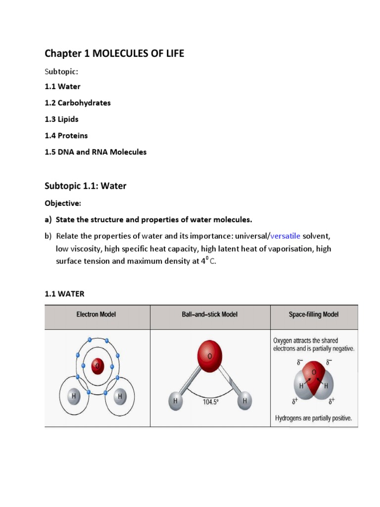 Topic 1 - Molecules of Life | PDF | Carbohydrates | Denaturation ...