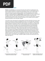 Anatomical Terms of Movement Explained | PDF | Anatomical Terms Of ...