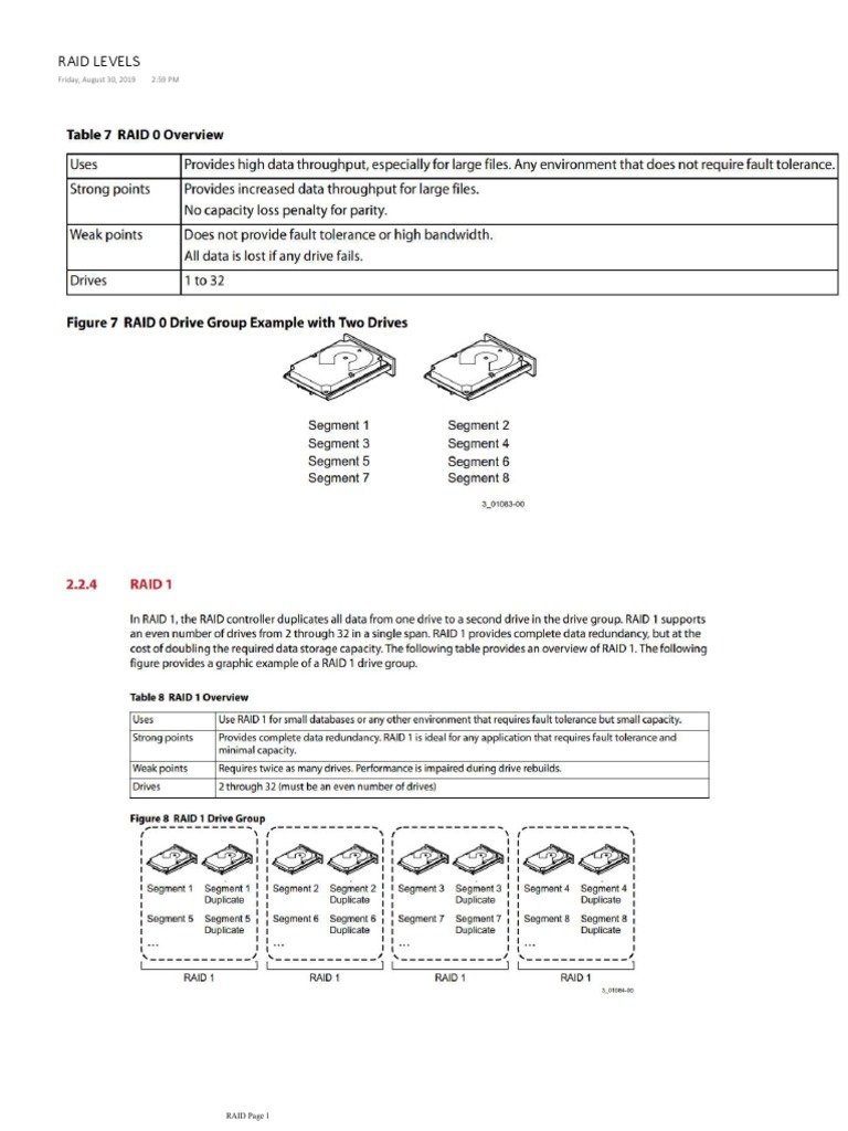 Understanding Raid Levels Pdf