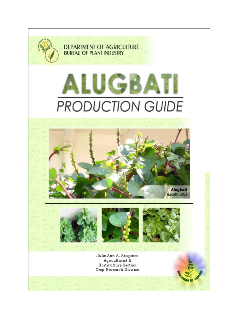 Alugbati PDF | PDF | Botany | Soil