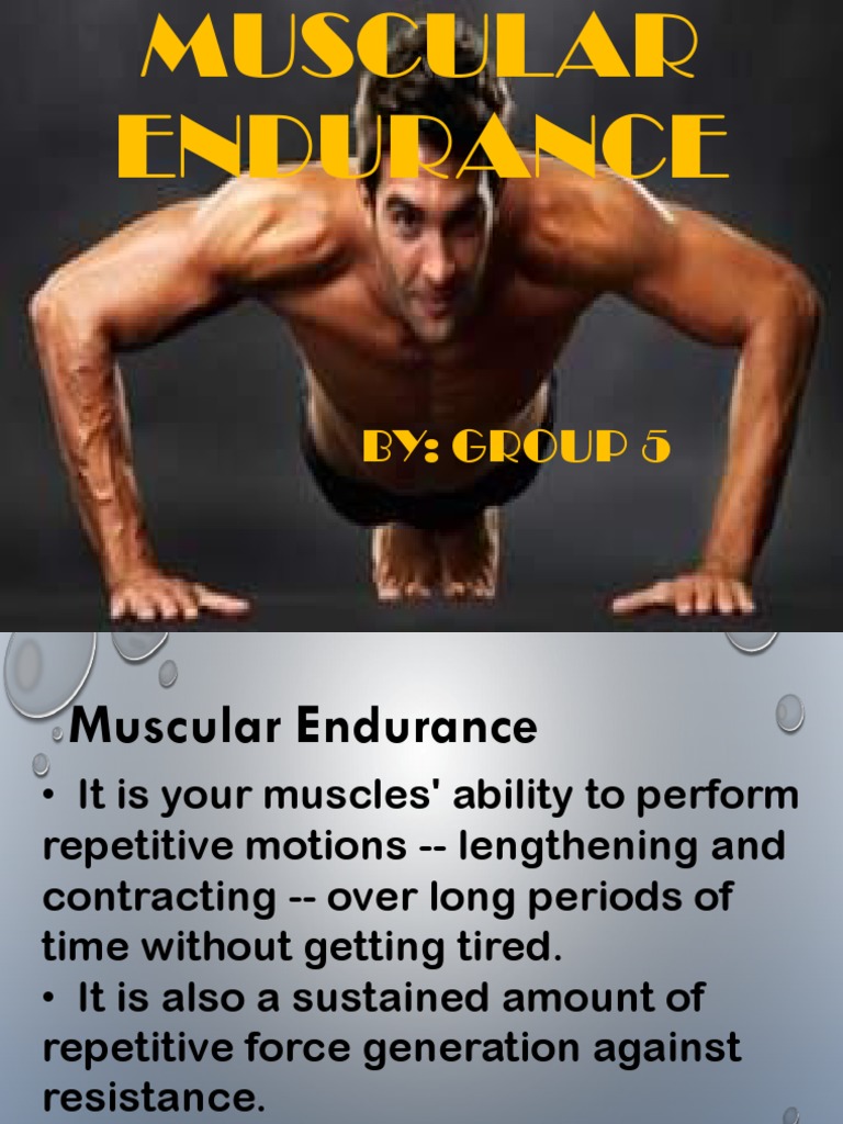 Muscular Endurance Pdf Flexibility Anatomy Strength Training