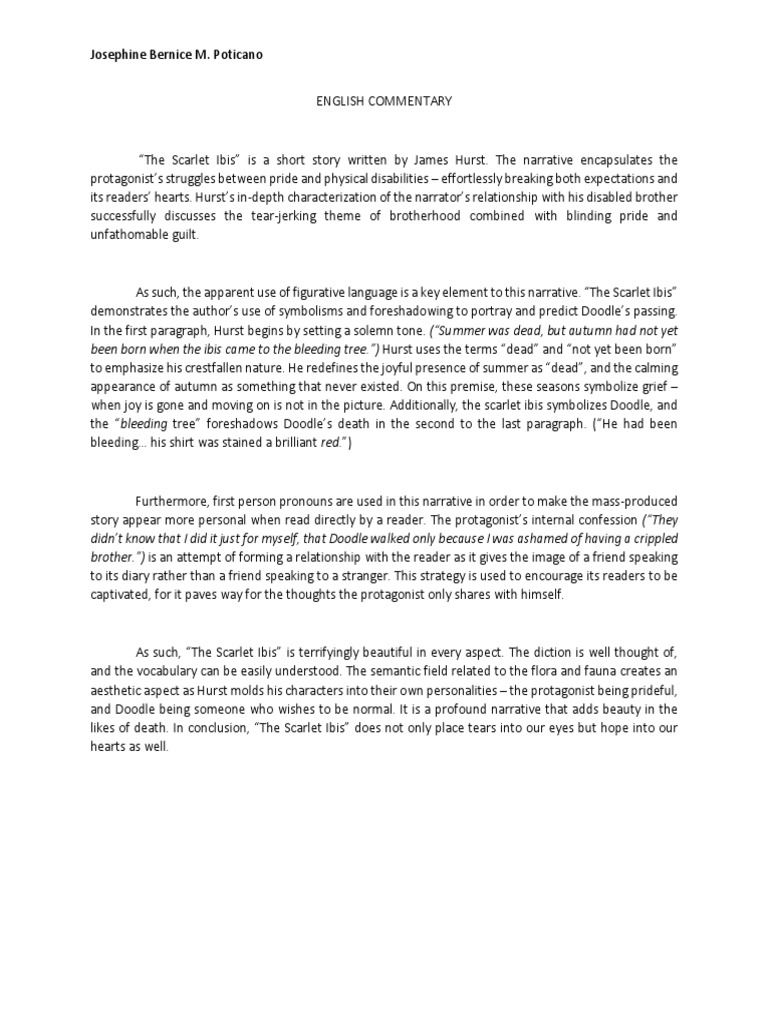 Commentary (The Scarlet Ibis) | PDF | Narrative