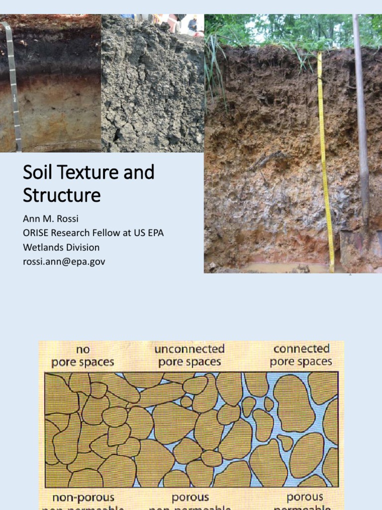 Soil Texture and Structure Rossi 071316 | PDF | Soil | Sand
