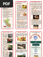 TripTico Loreto - Peru | PDF | Naturaleza