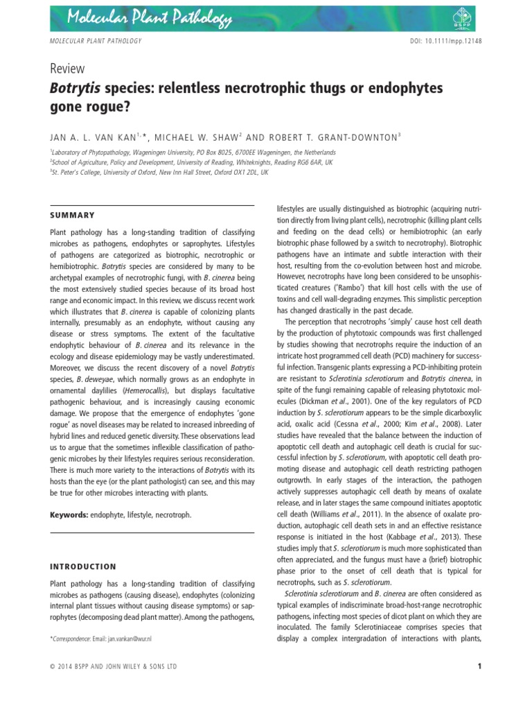 Gone Rogue?: Botrytis Species: Relentless Necrotrophic Thugs or ...