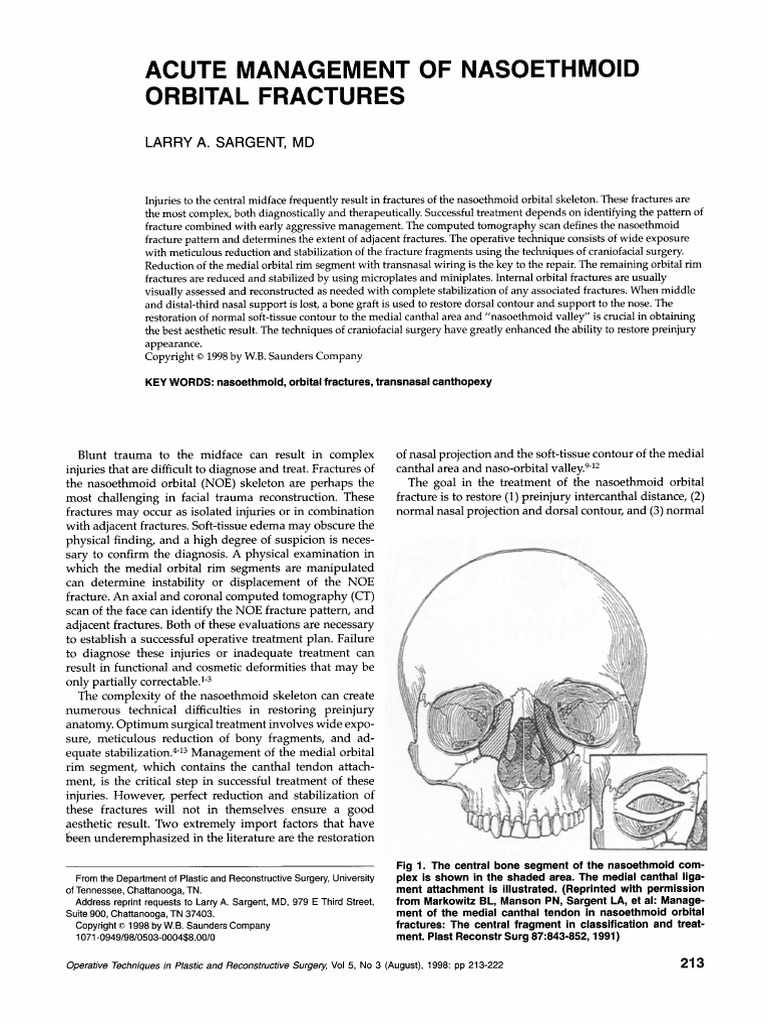 Noe 1 | PDF | Human Head And Neck | Face