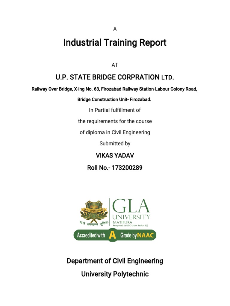 Road Construction Report | PDF