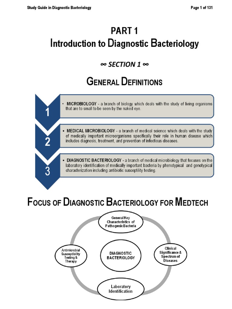 Study Guide Diagnostic Bacteriology FINAL PDF | PDF | Gram Positive ...