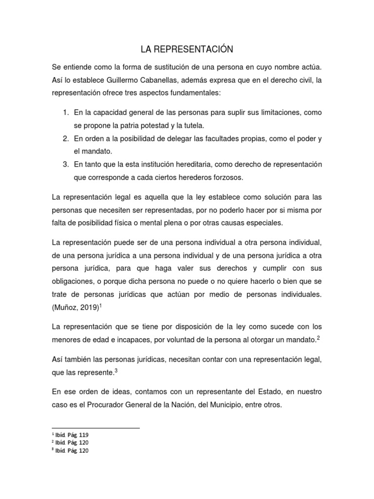 La Representación Notarial | PDF | Alcalde | Gobierno local