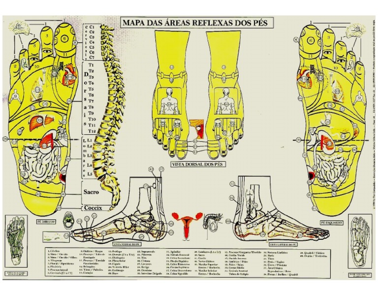 Mapa de Reflexologia Podal | PDF