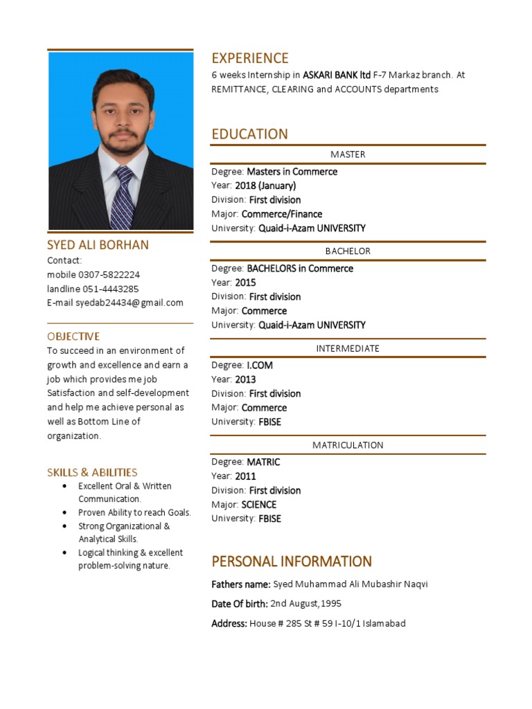 Experience: Syed Ali Borhan | PDF