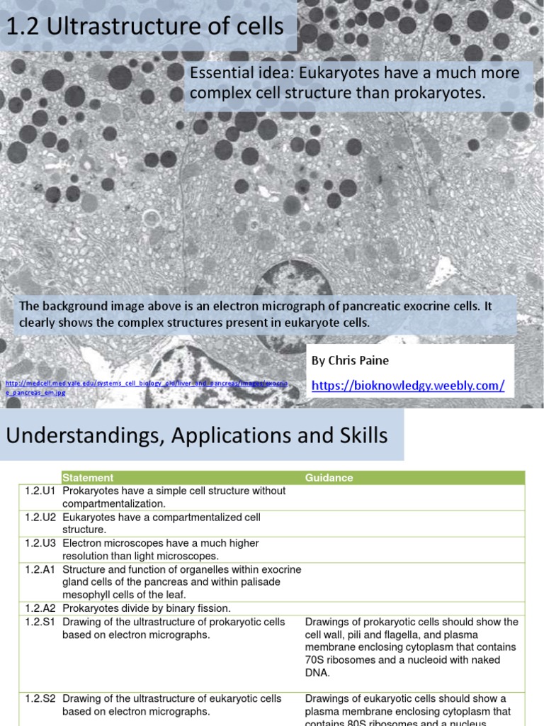 1.2 Ultra Structure of Cells | PDF | Endoplasmic Reticulum | Cell (Biology)