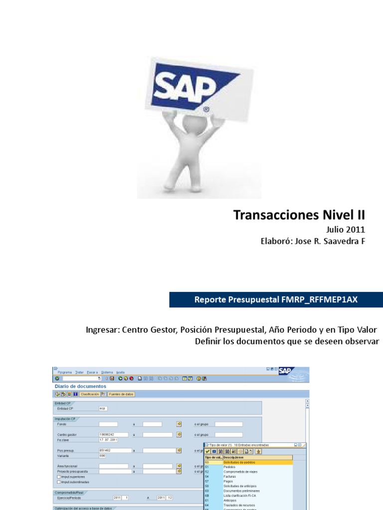 01 Guia de Transacciones SAP | Descargar gratis PDF | Economias | Business