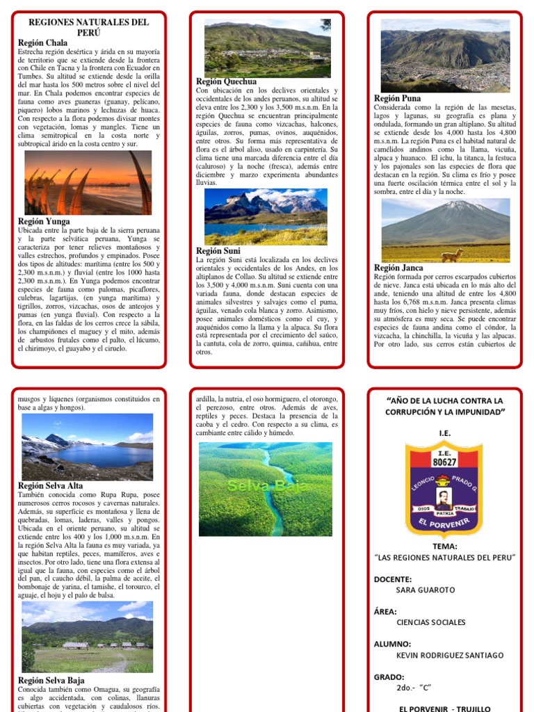 Regiones Naturales Del Per1 | PDF | Andes | Naturaleza