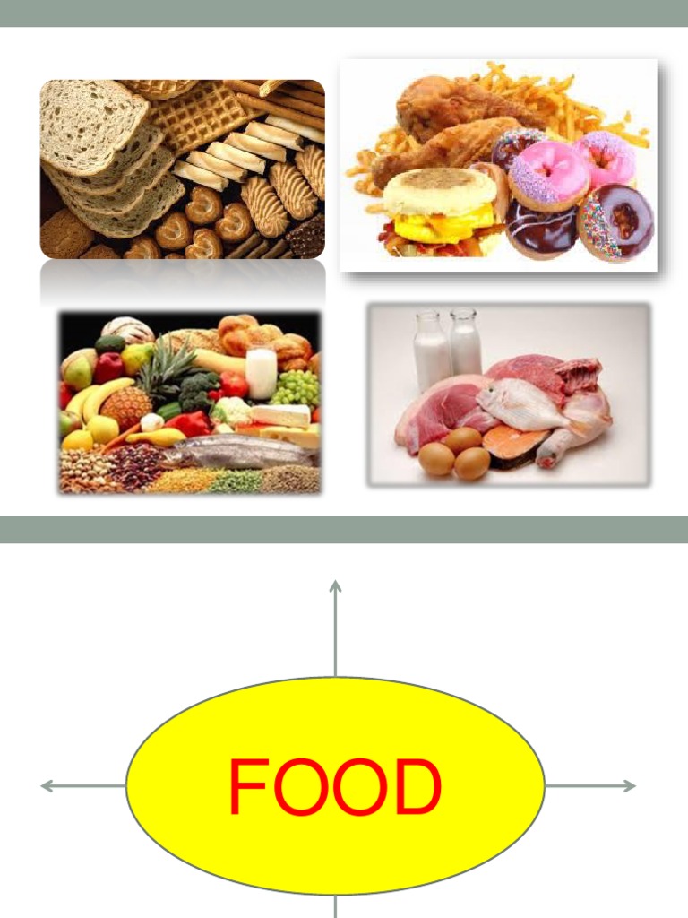 Exploring Food Digestion Activities | PDF | Digestion | Stomach