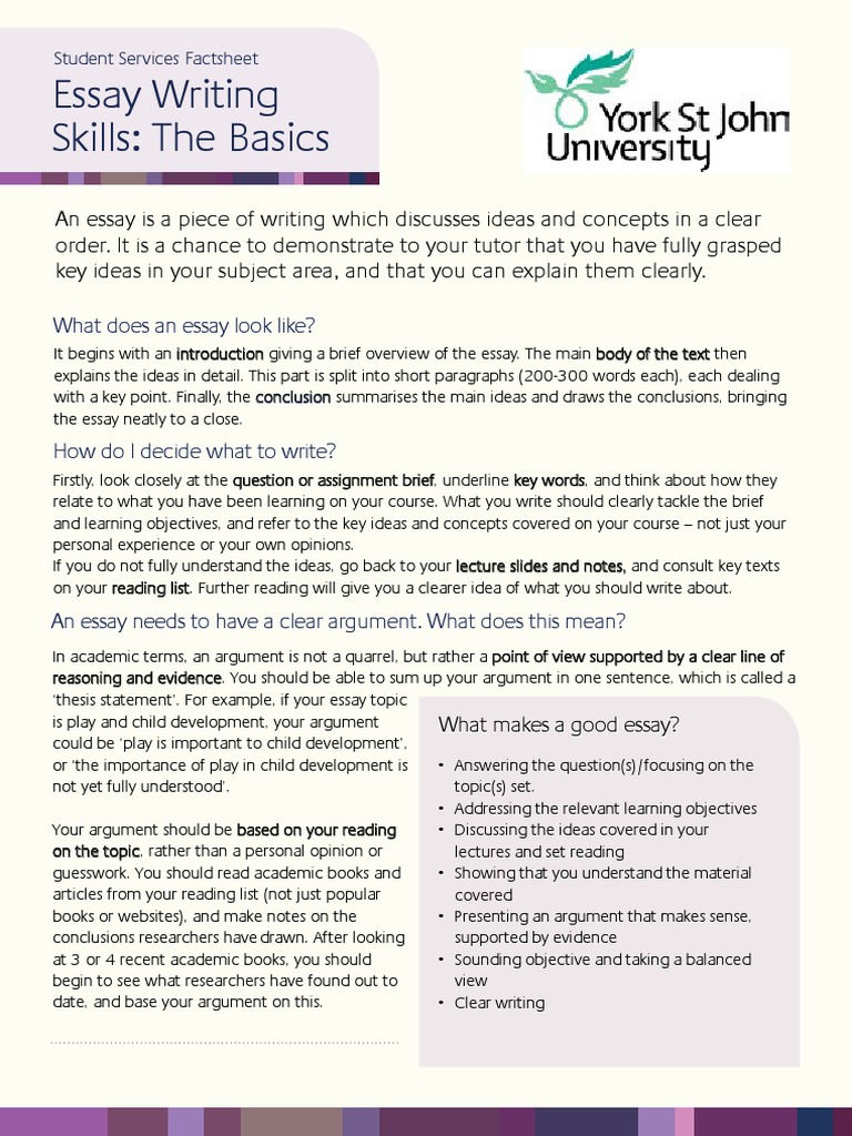 Essay Writing Skills The Basics What Does An Essay Look Like Pdf