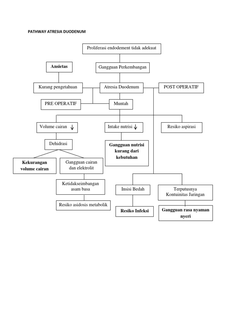 Pathway Atresia Duodenum | PDF