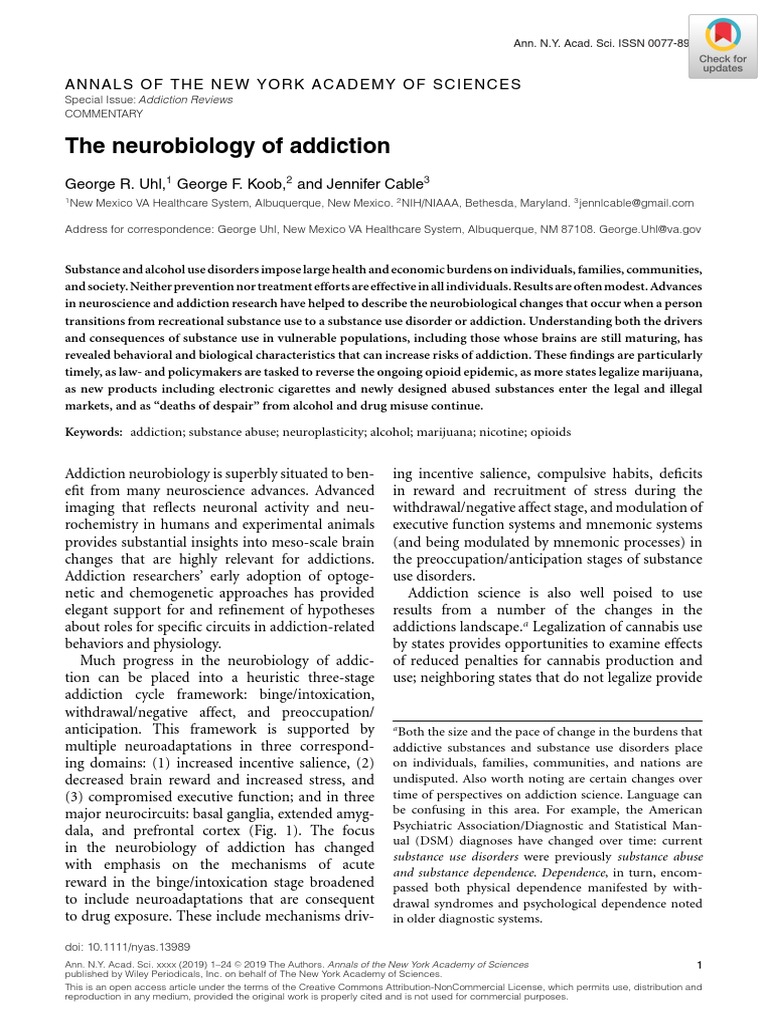 Neurobiology of Addiction Insights | PDF | Dopamine | Reward System