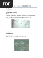 Atlas de Coprológico. Atlas de Coprología. | PDF | Digestión | Leucocito