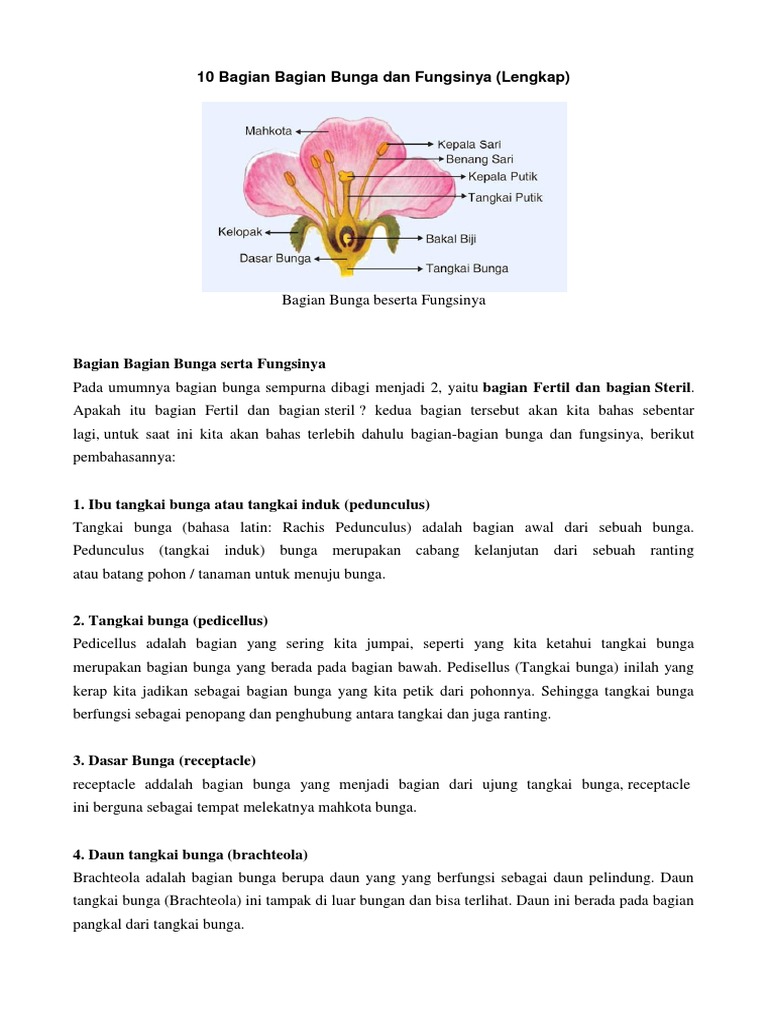 Bagian Bagian Bunga Dan Fungsinya | PDF