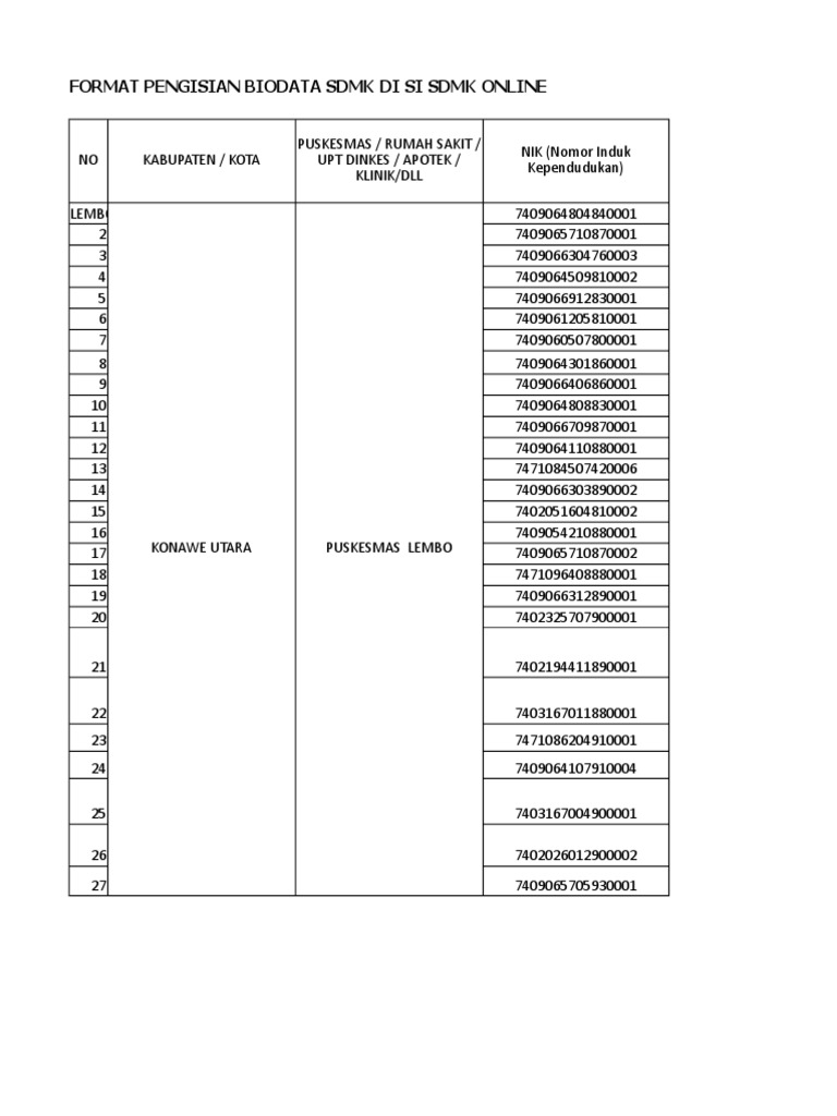 Format Pengisian Si SDMK Online Provinsi | PDF