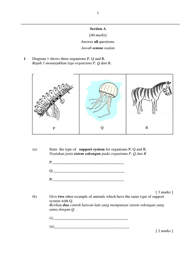 Modul Set 1sc PMR | PDF
