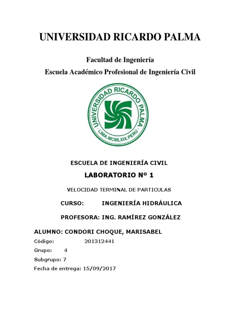 Velocidad Terminal de Partículas | PDF | Fricción | Física