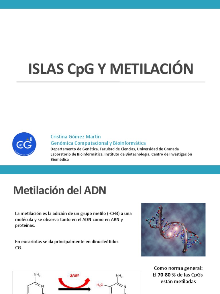 Islas Cpg Y Metilación: Cristina Gómez Martín Genómica Computacional y ...